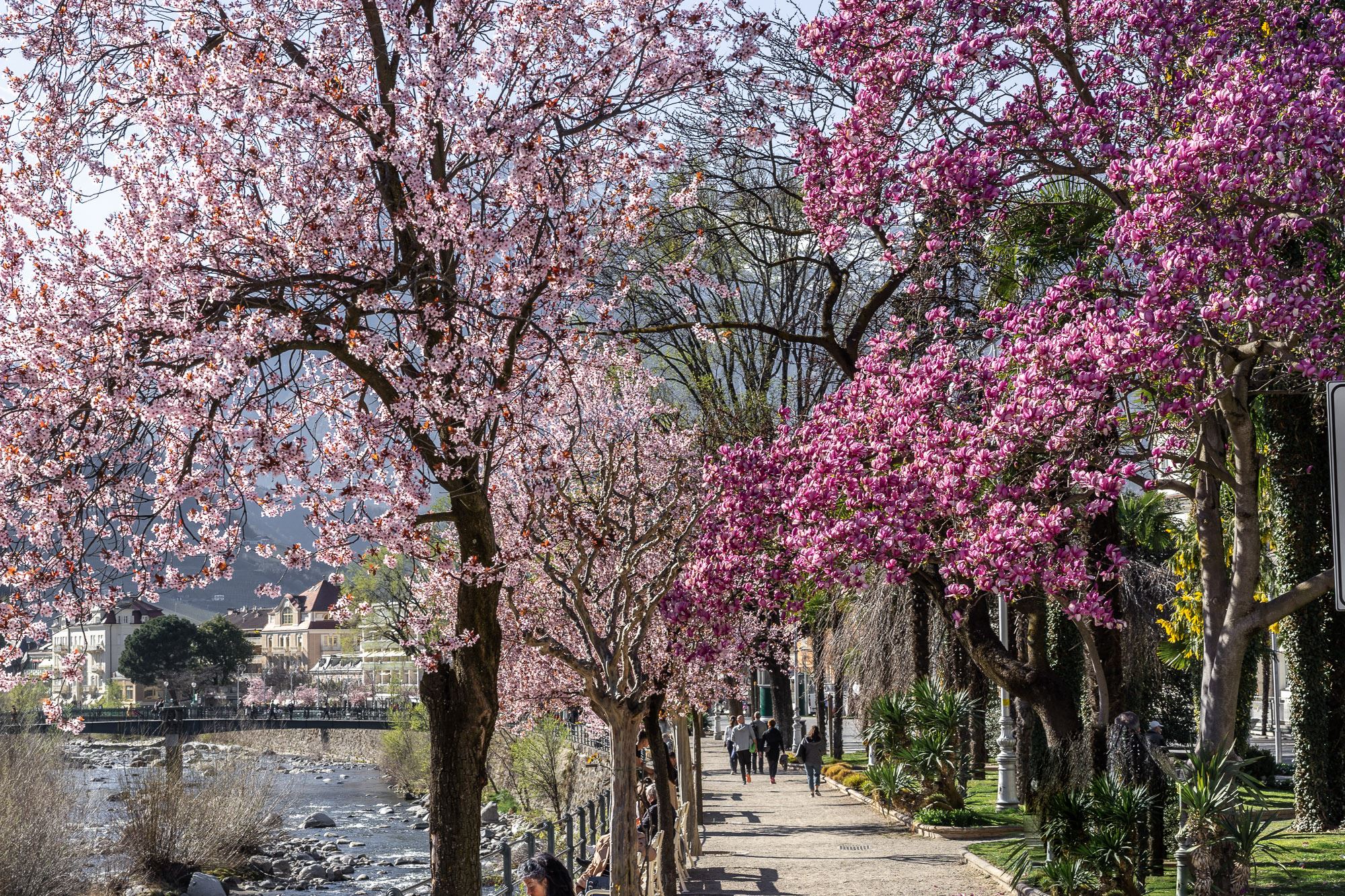 Die wichtigsten Sehenswürdigkeiten in Meran • VisitMeran