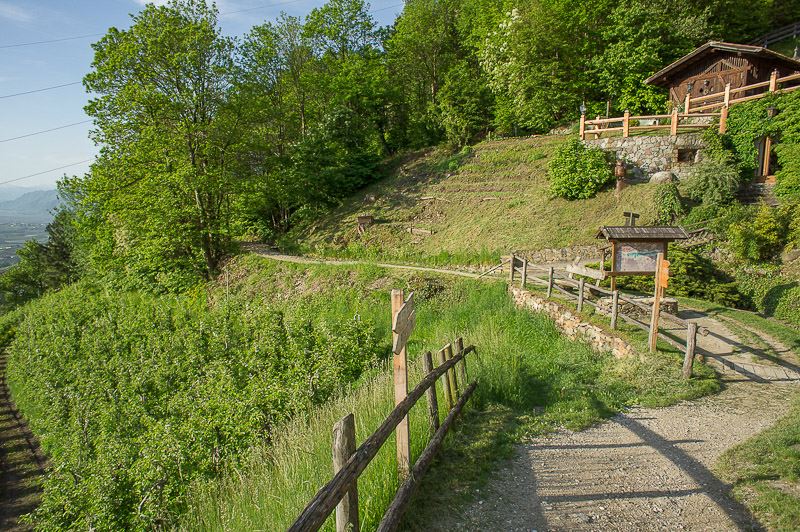 Der Marlinger Waalweg • VisitMeran